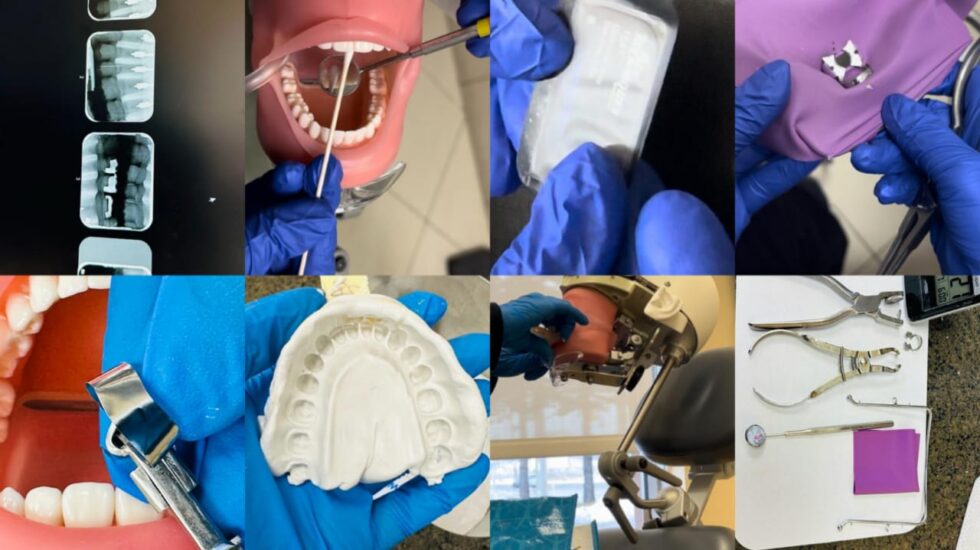 Dental Assisting Training in Canada | NDAEB Exam Training | Canadie Dental