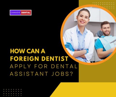 Guide: How to Apply for Dental Assistant Jobs as a Foreign Dentist